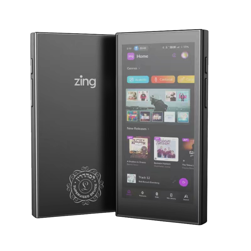 Zing DUO MP3 Player – Grow Electronics